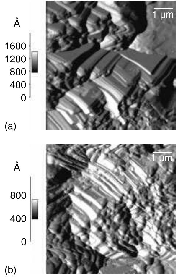 10 x 10 um? afm images of the composite negative electrode