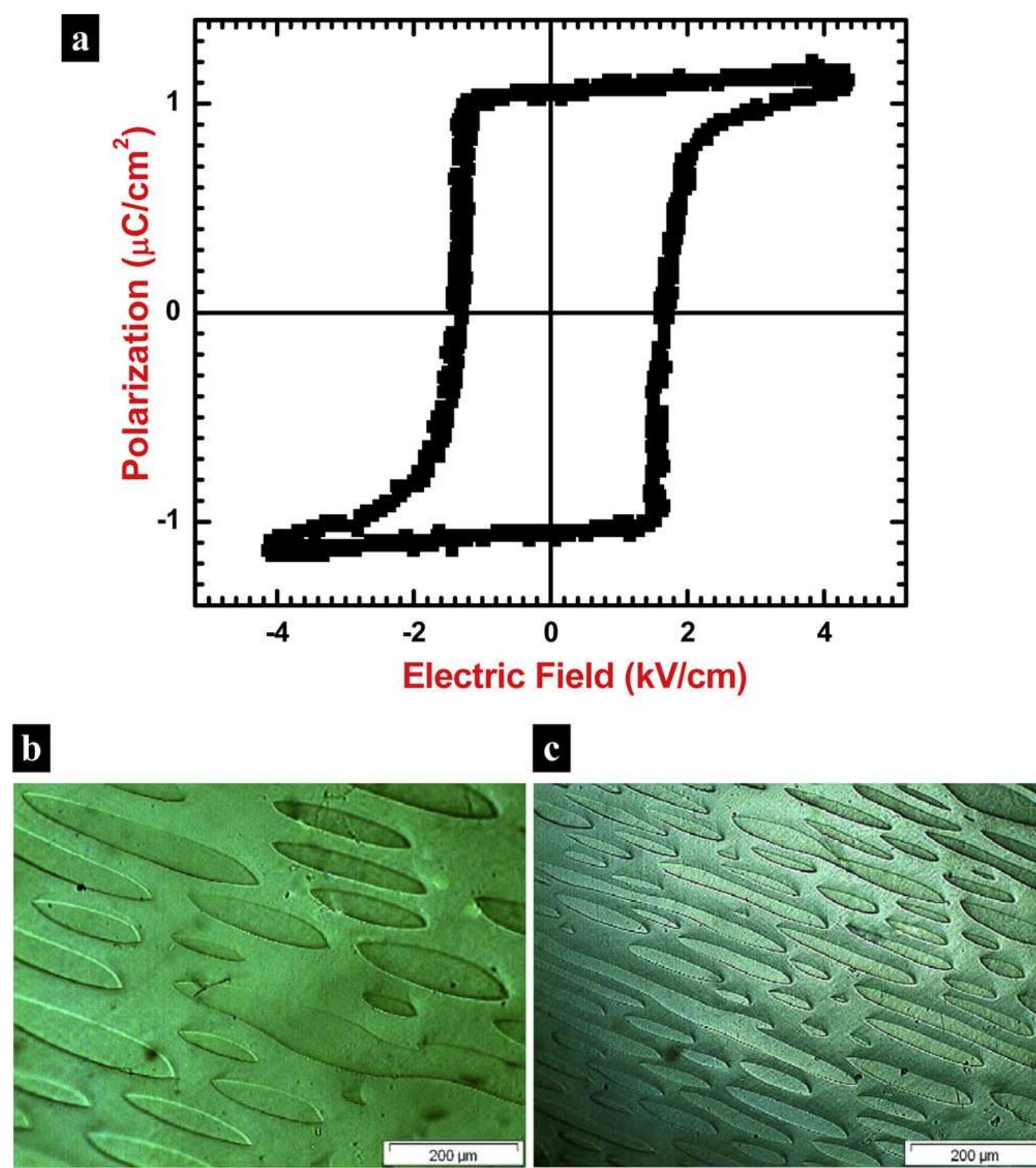 (a) p-e hysteresis loop of sr method grown tgs crystal.