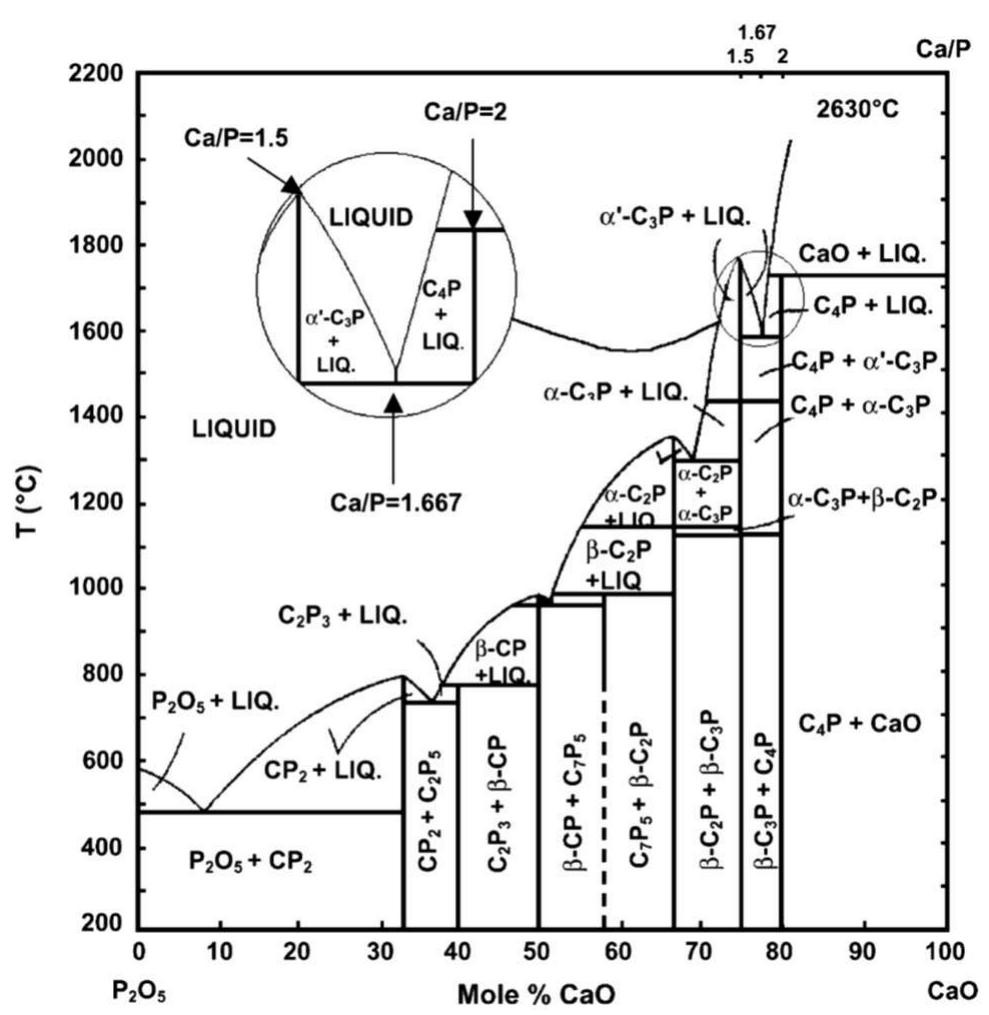 Mcpa (or mcp) fig. 3 phase diagram of the system cao-—p,0;5
