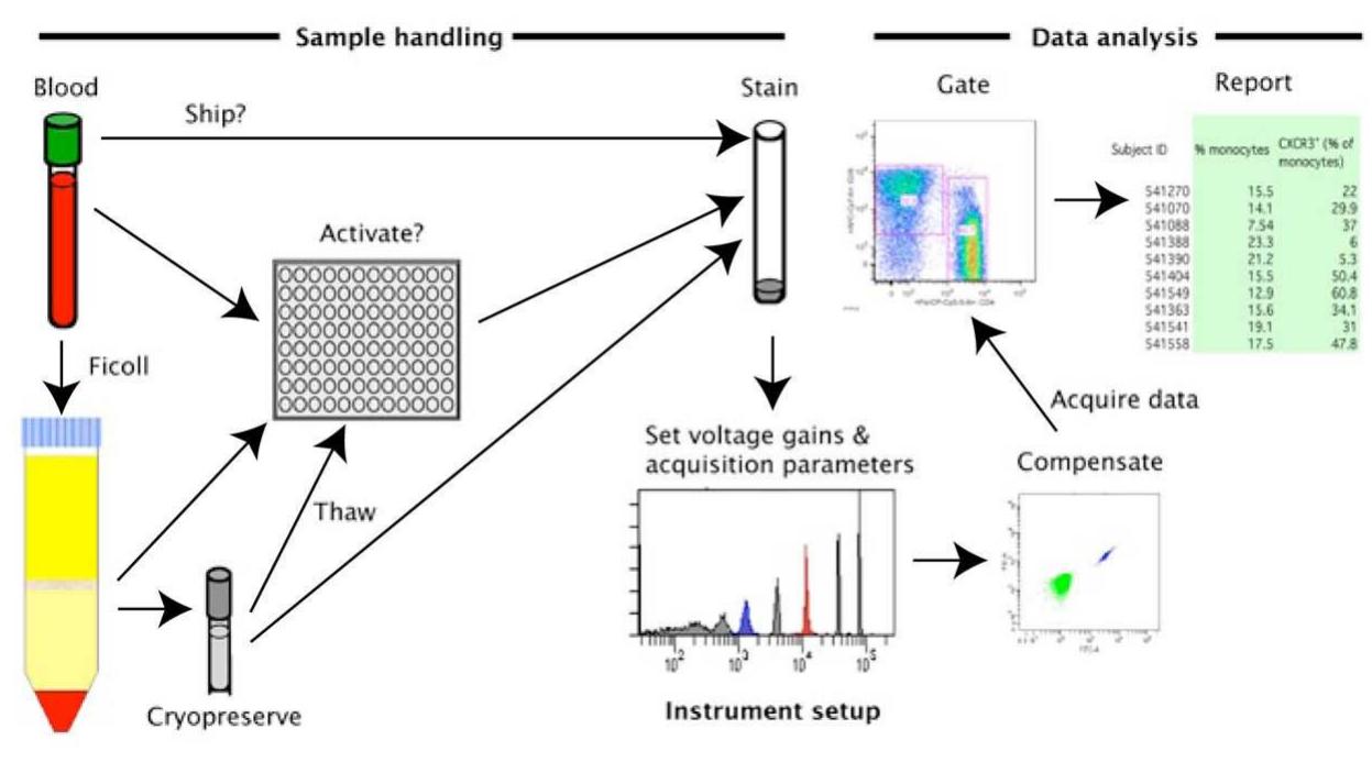 Figure 1 - A model for harmonizing flow cytometry in