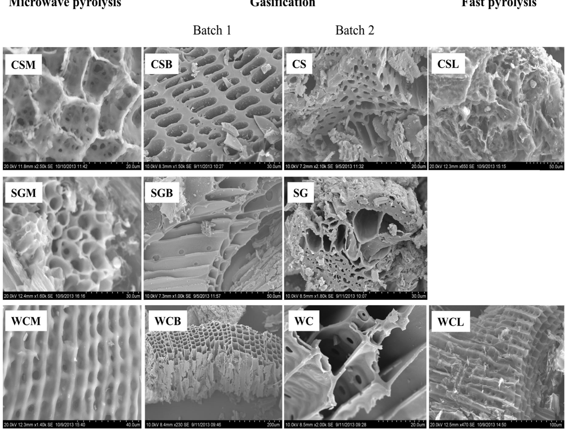 Scanning electron microscope (sem) images of biochar