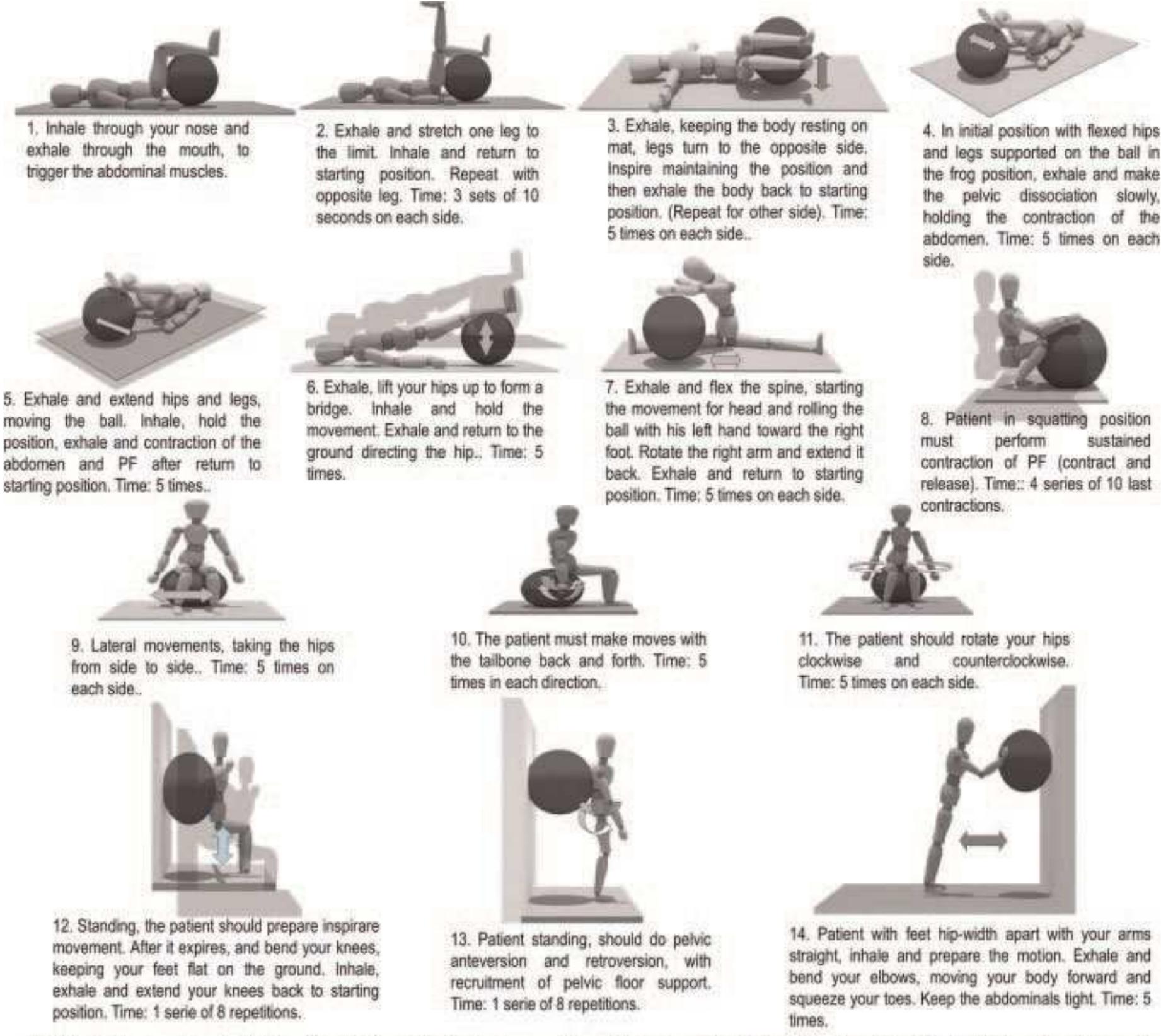 “pelvic mobility exercises, stretching, strengthening and