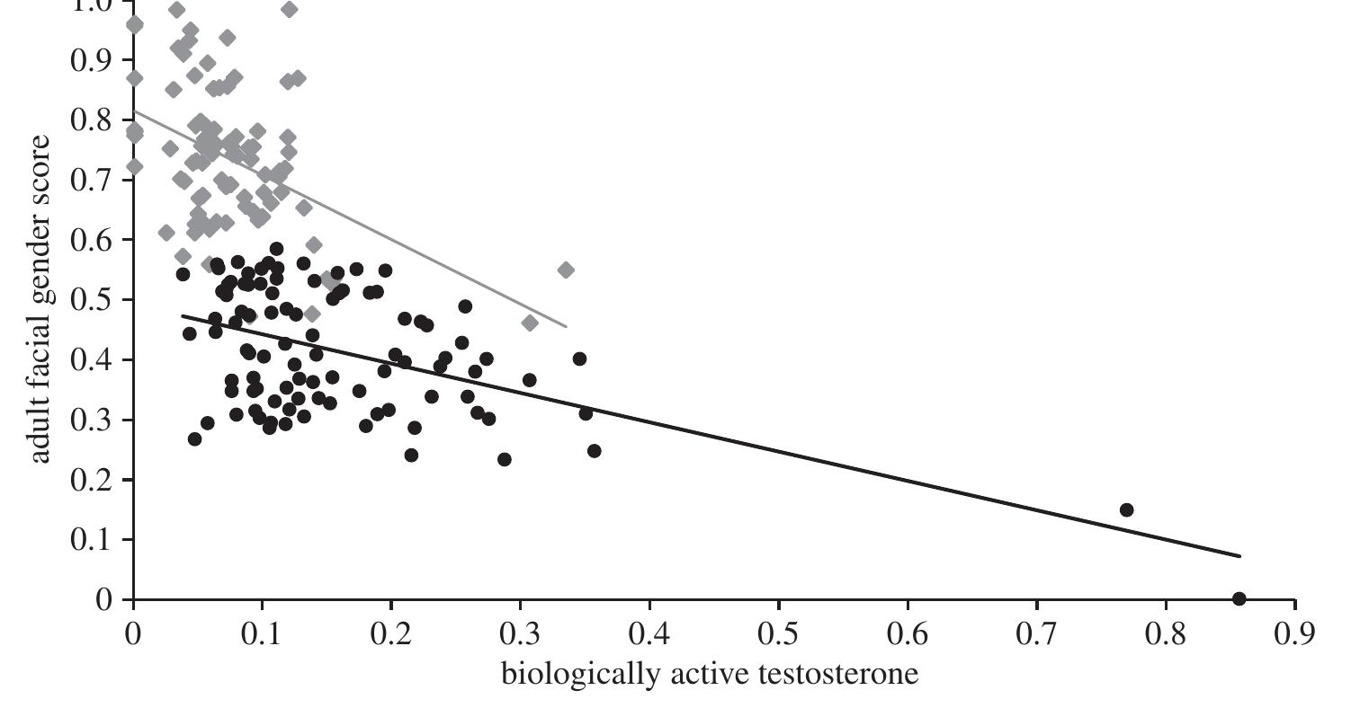 Scatter plot and trend lines showing the relationship