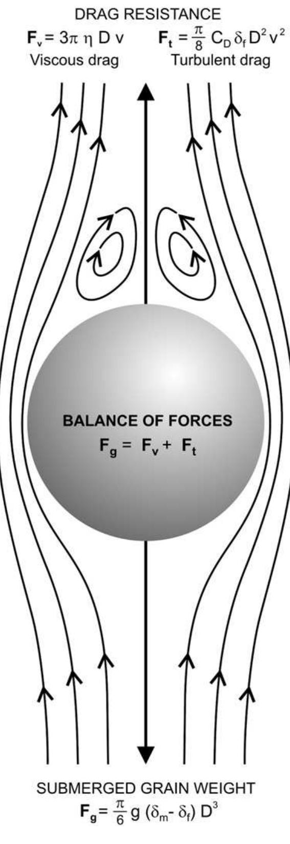 Balanced force system for a settling spherical grain. the