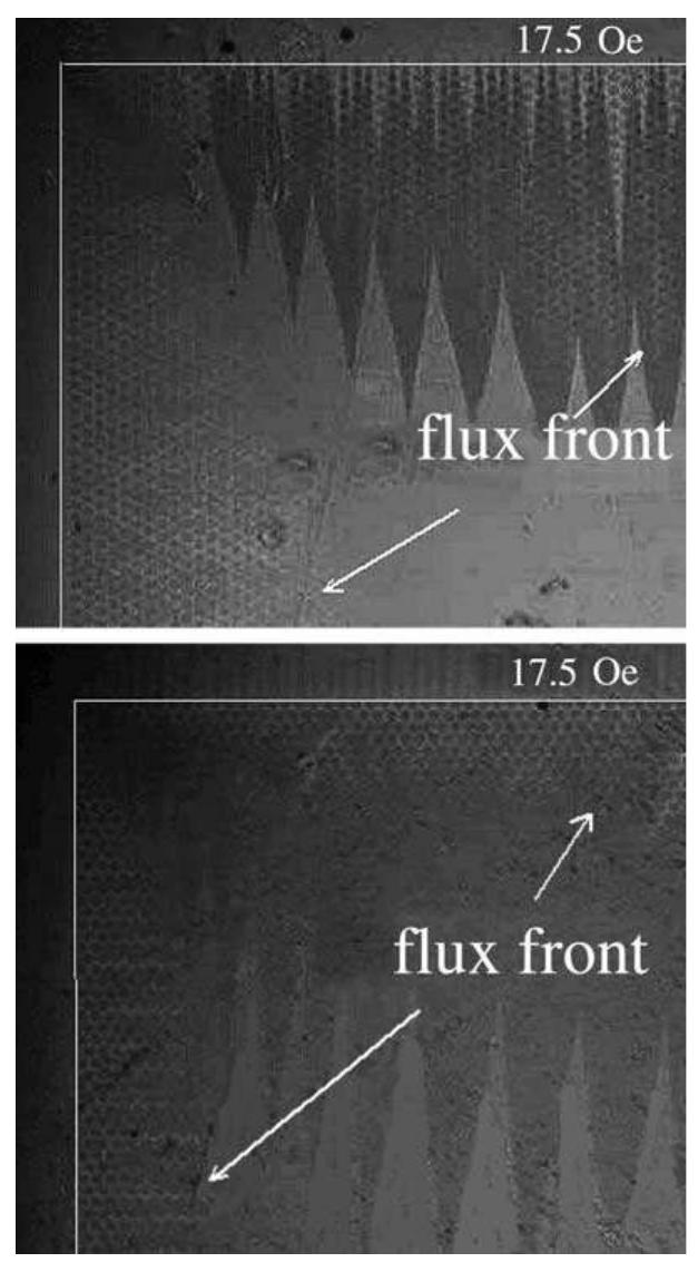 Magneto-optical images of two samples with different bridge