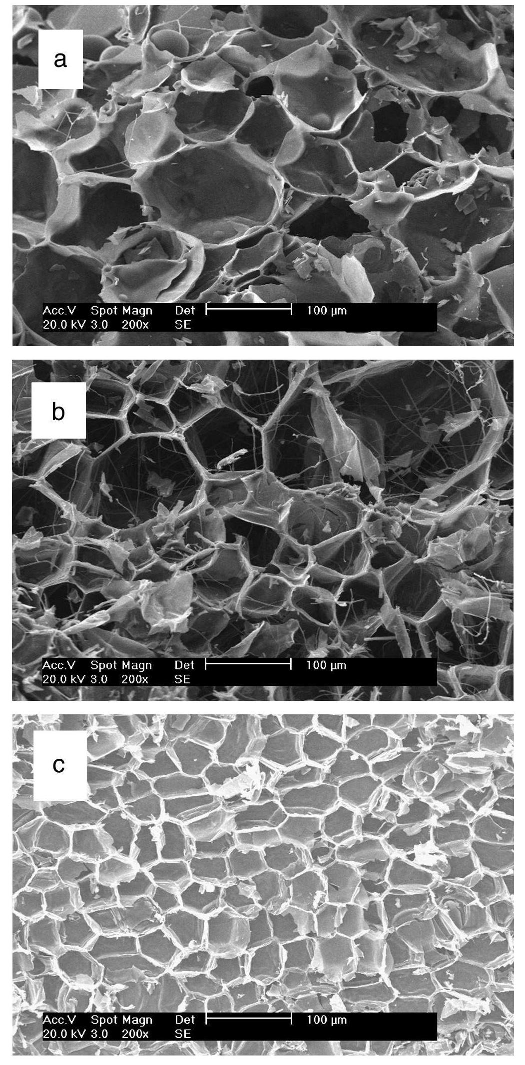Scanning electron microscope (sem) images for bcioyears