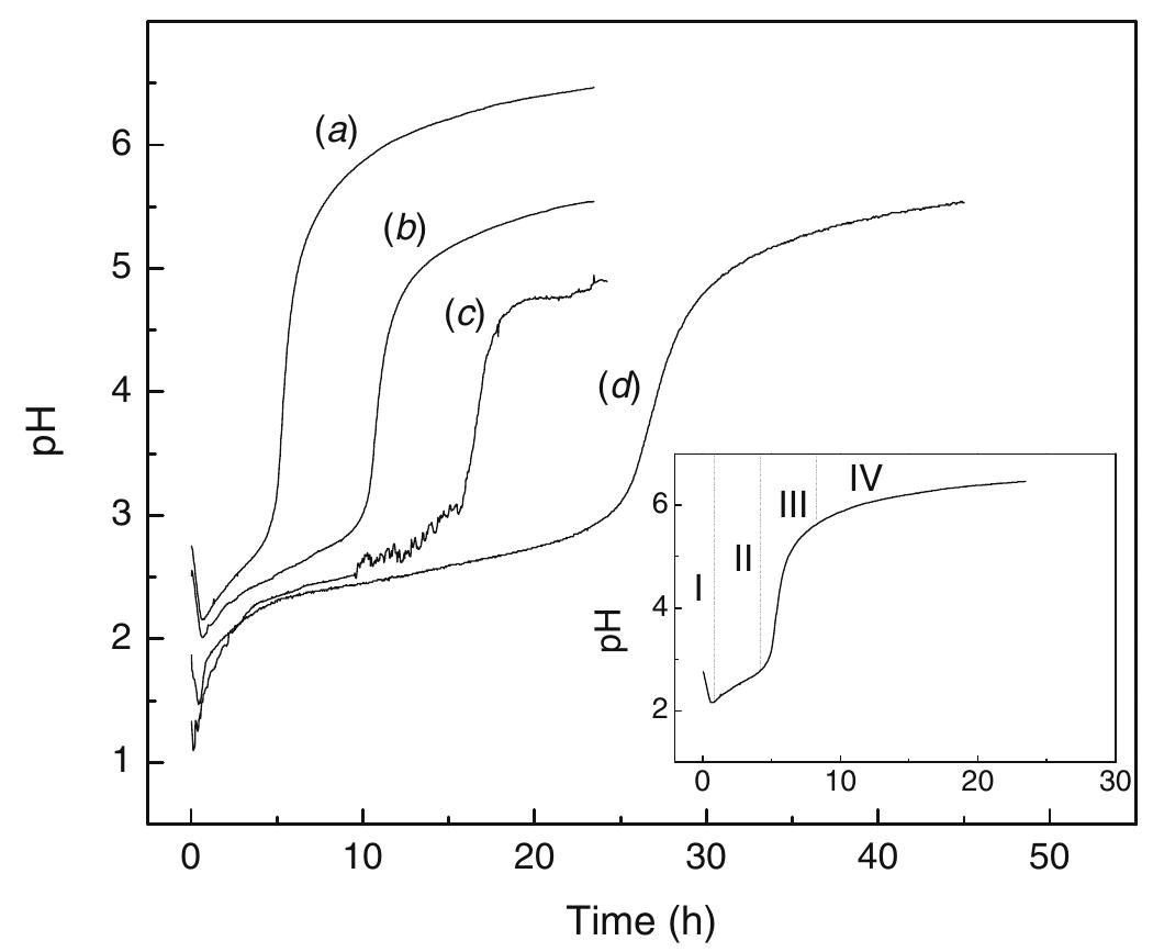 Evolution of ph with time during homogeneous
