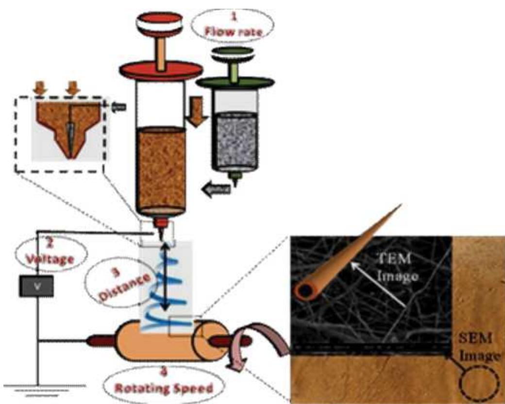 Schematic of co-axial electrospinning setup. high resolution