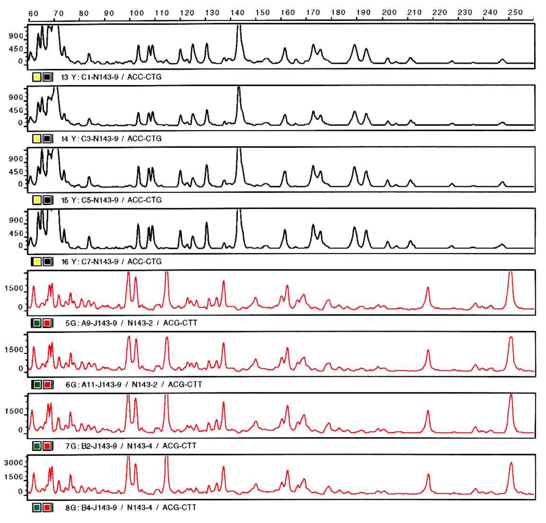 Figure 11 - AFLP: Principle and Application