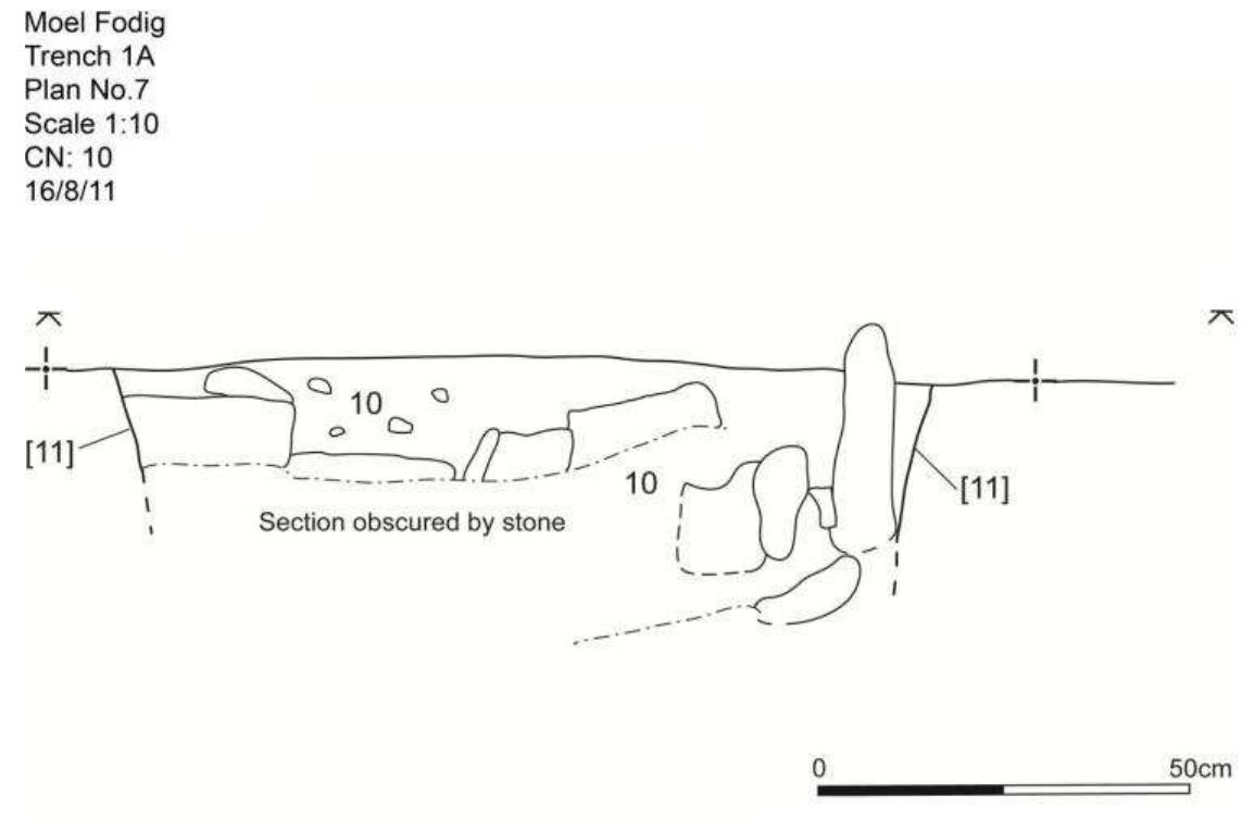 Section drawing showing the stone rich fill of the larger