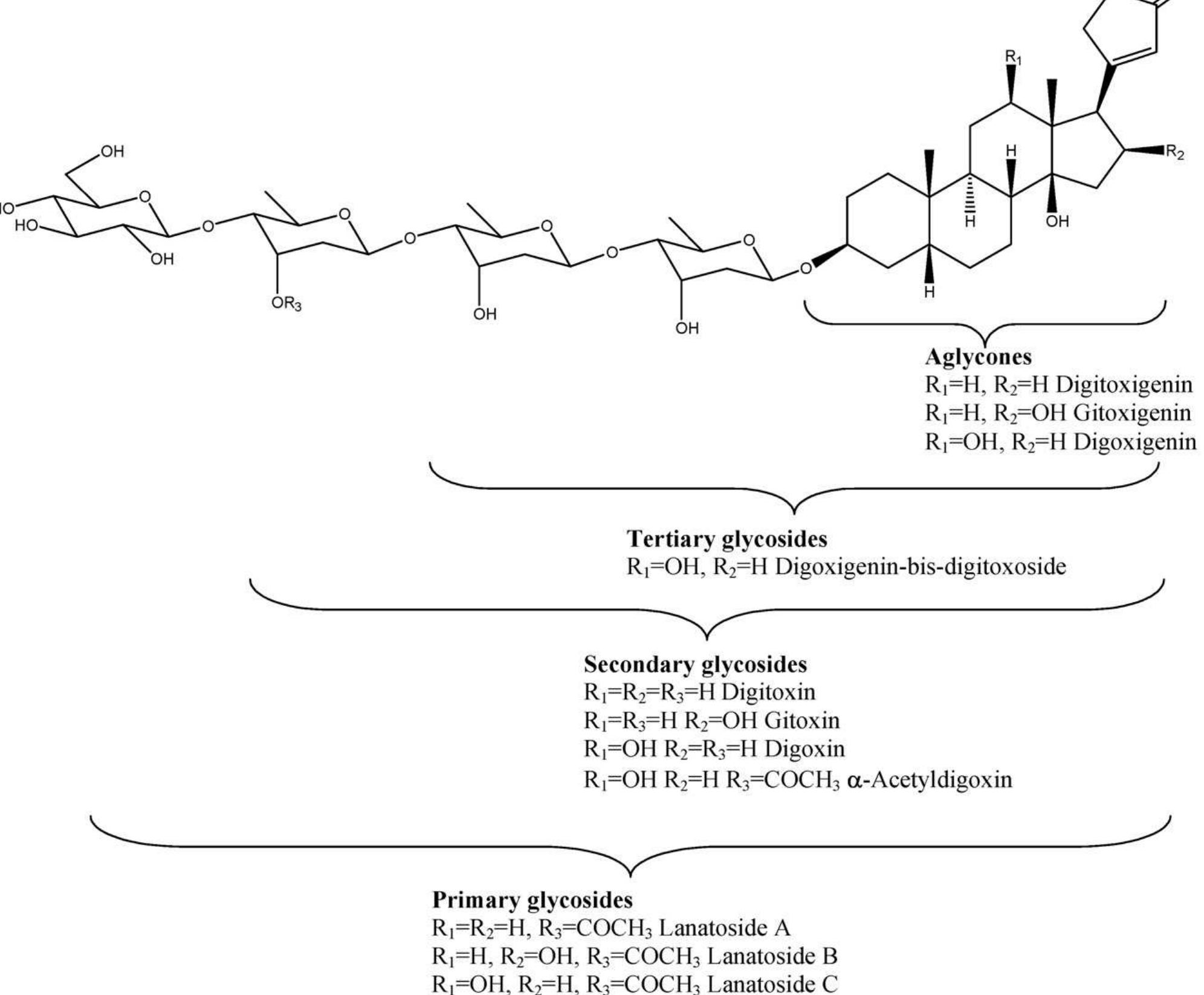 Chemical structures of d. lanata cardiac glycosides