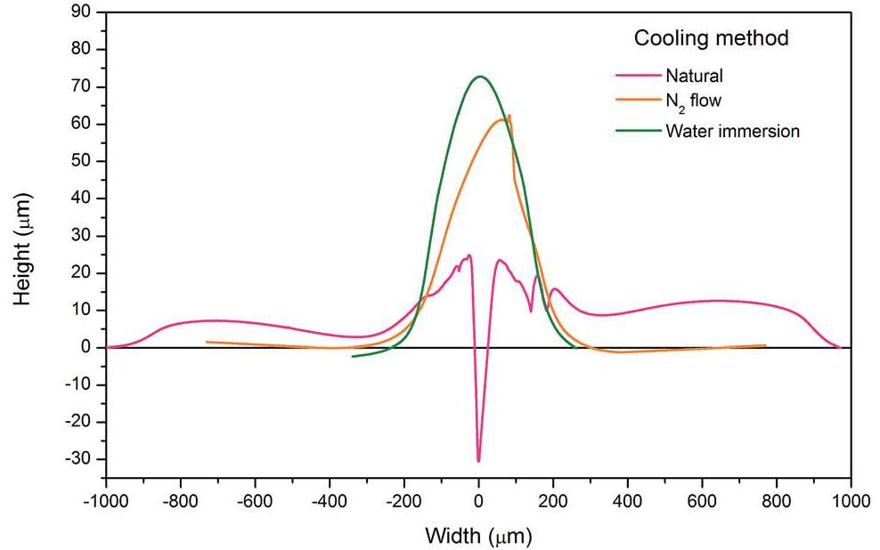 Cross-sectional profiles of swollen ridges formed on the