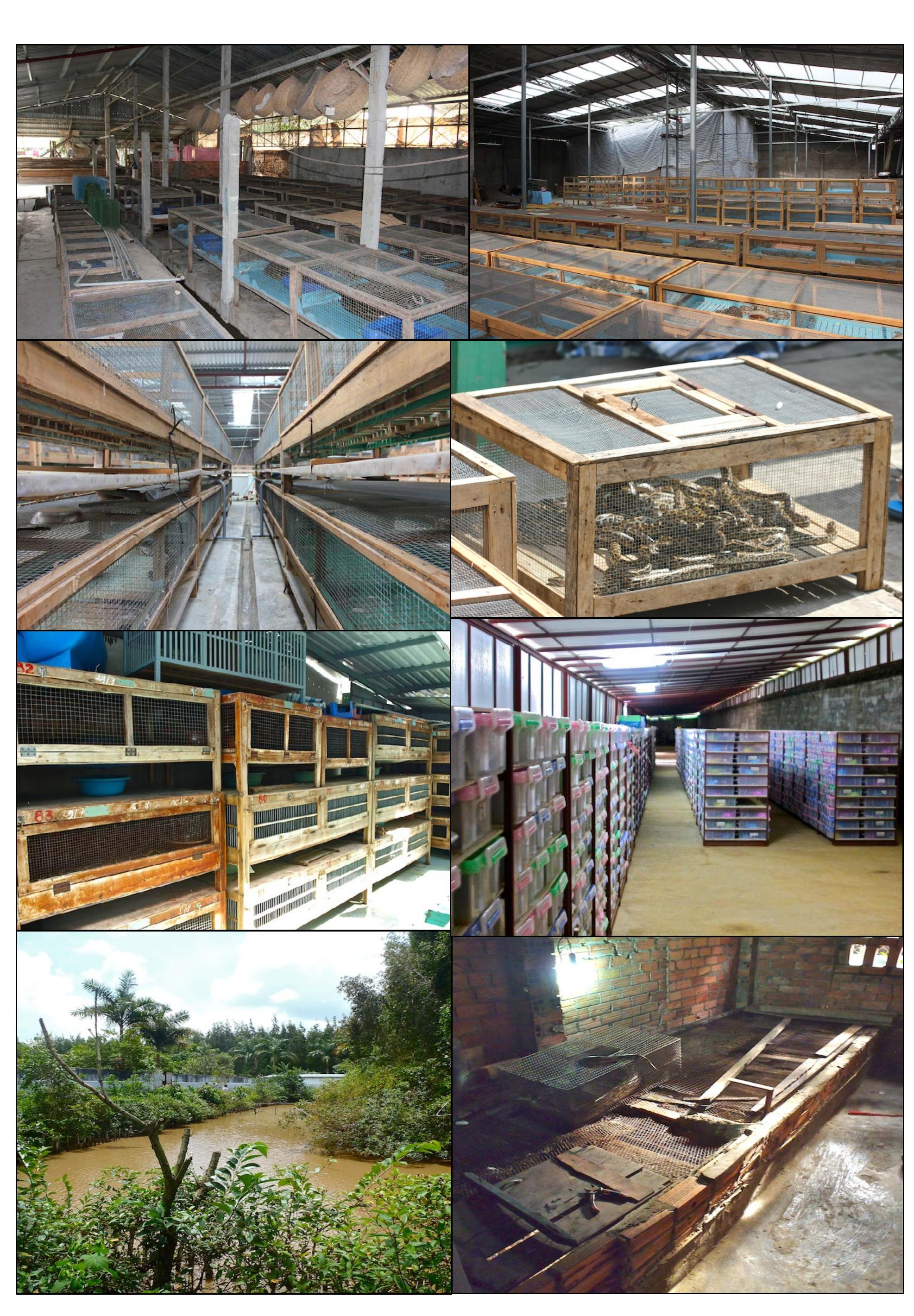 Different types of enclosures, materials and setups used for