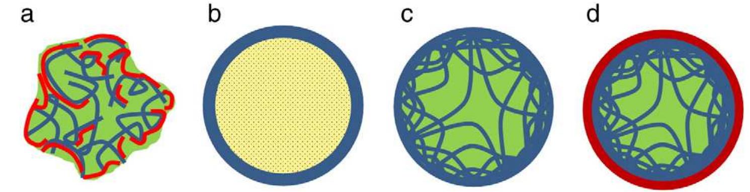 Schematic representation of a nano-aggregate (a),
