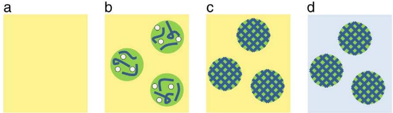 Schematic representation of the formation of alginate
