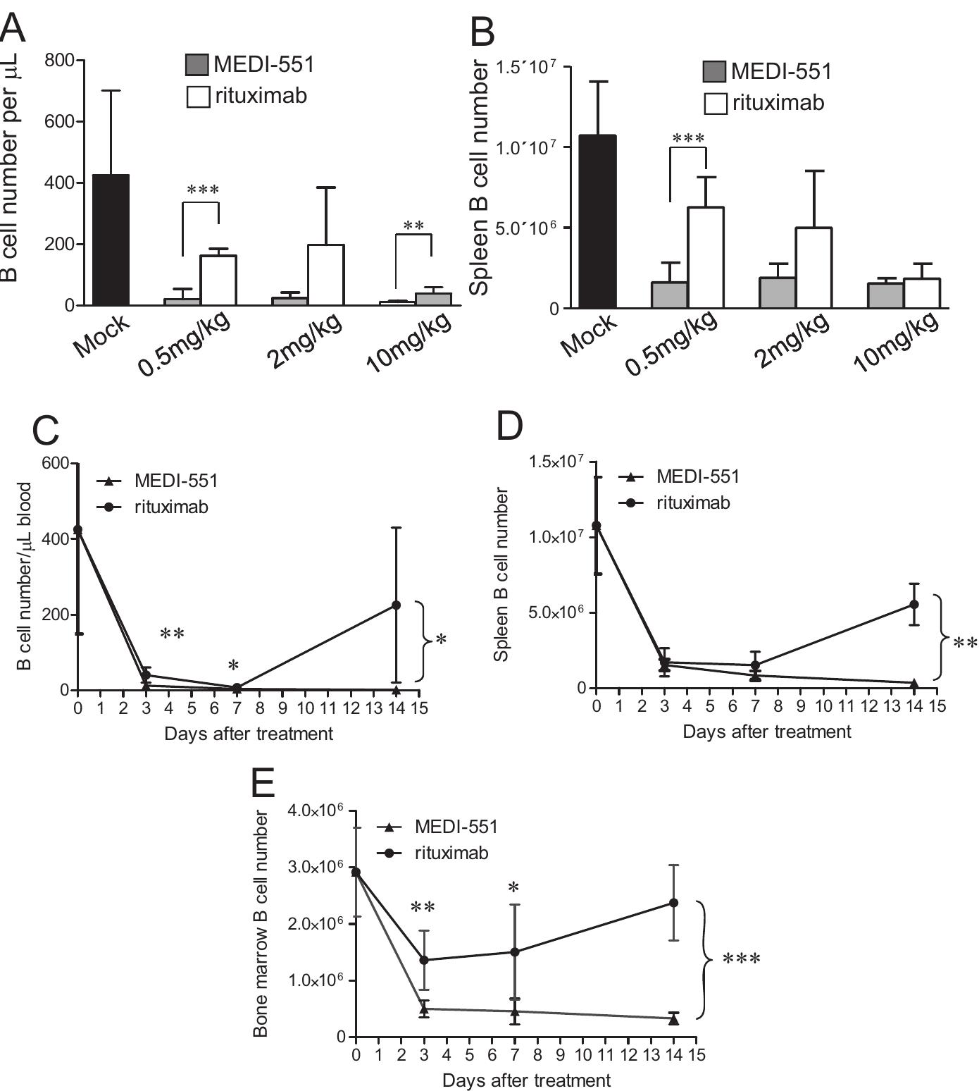 Mab anti-cd19-2, mab anti-cd19-2-tm, which is devoid of