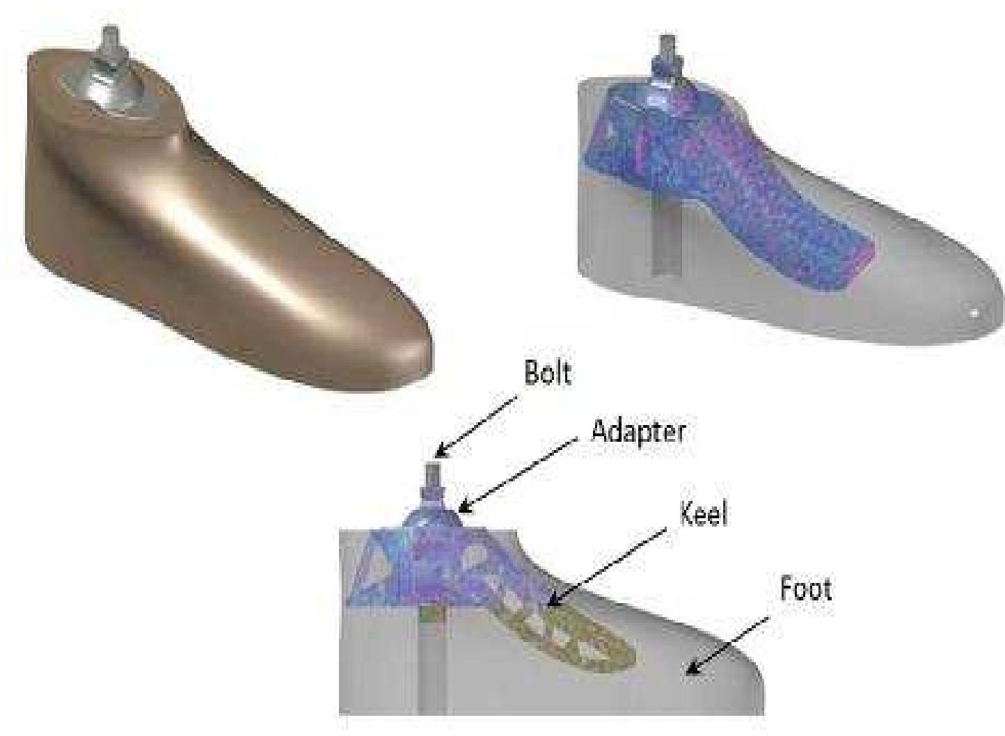 (6). multiple views of final model of sach foot and bolt