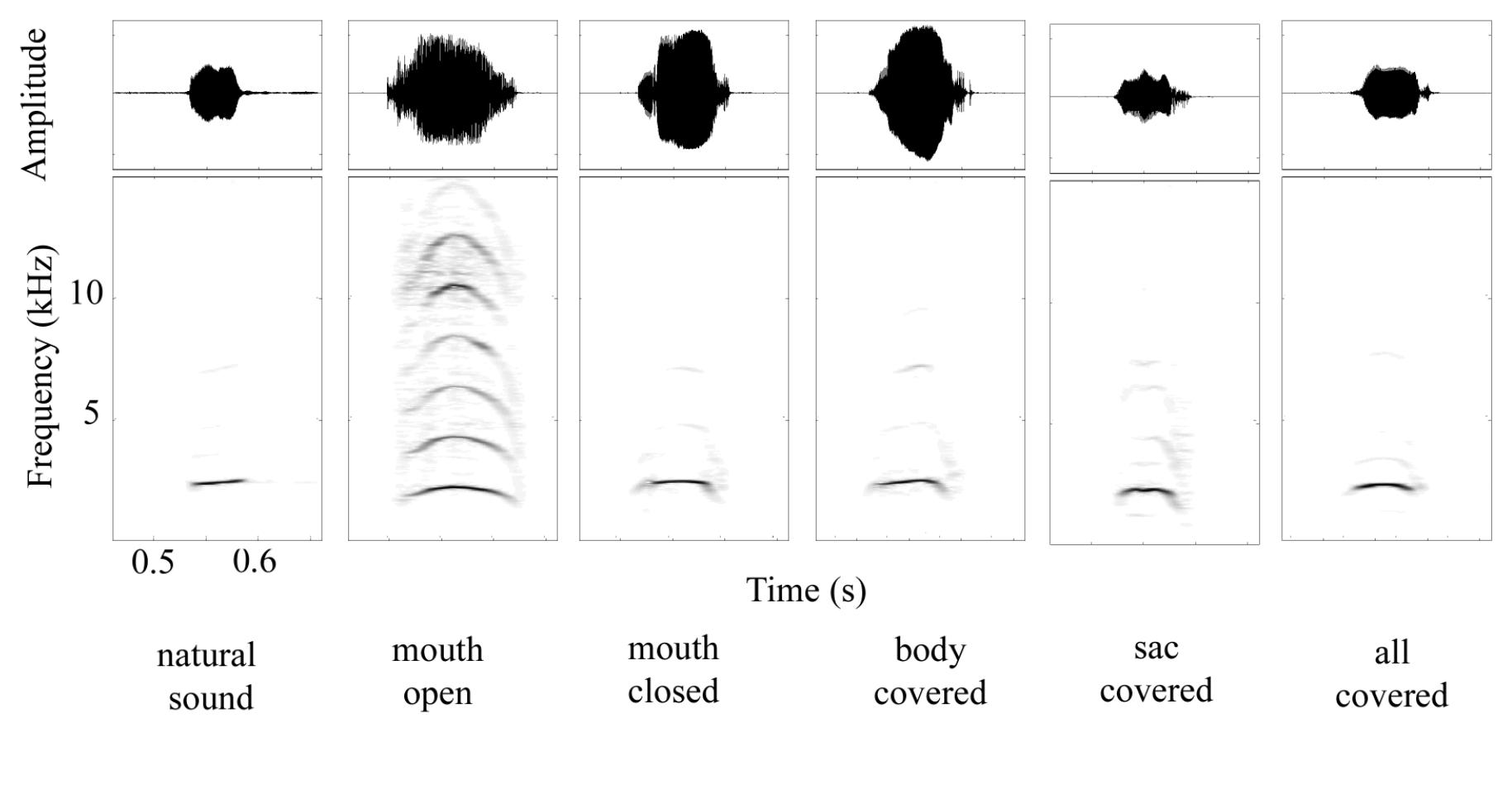 oscillogram and spectrogram of natural and artificial
