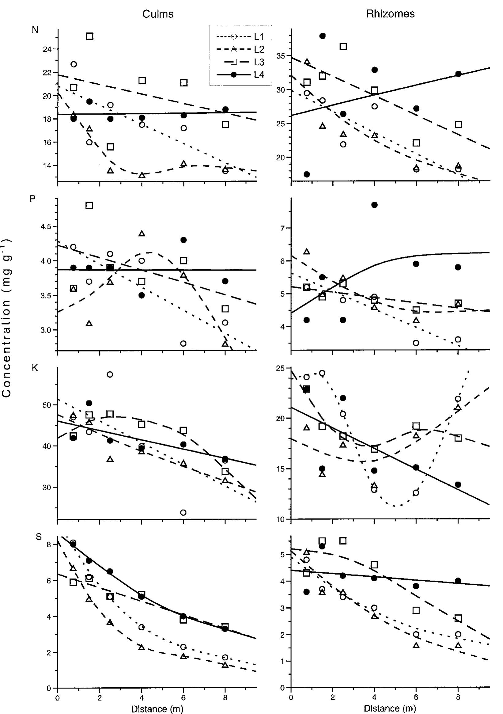Longitudinal gradients of culm and rhizome n, p, k and s