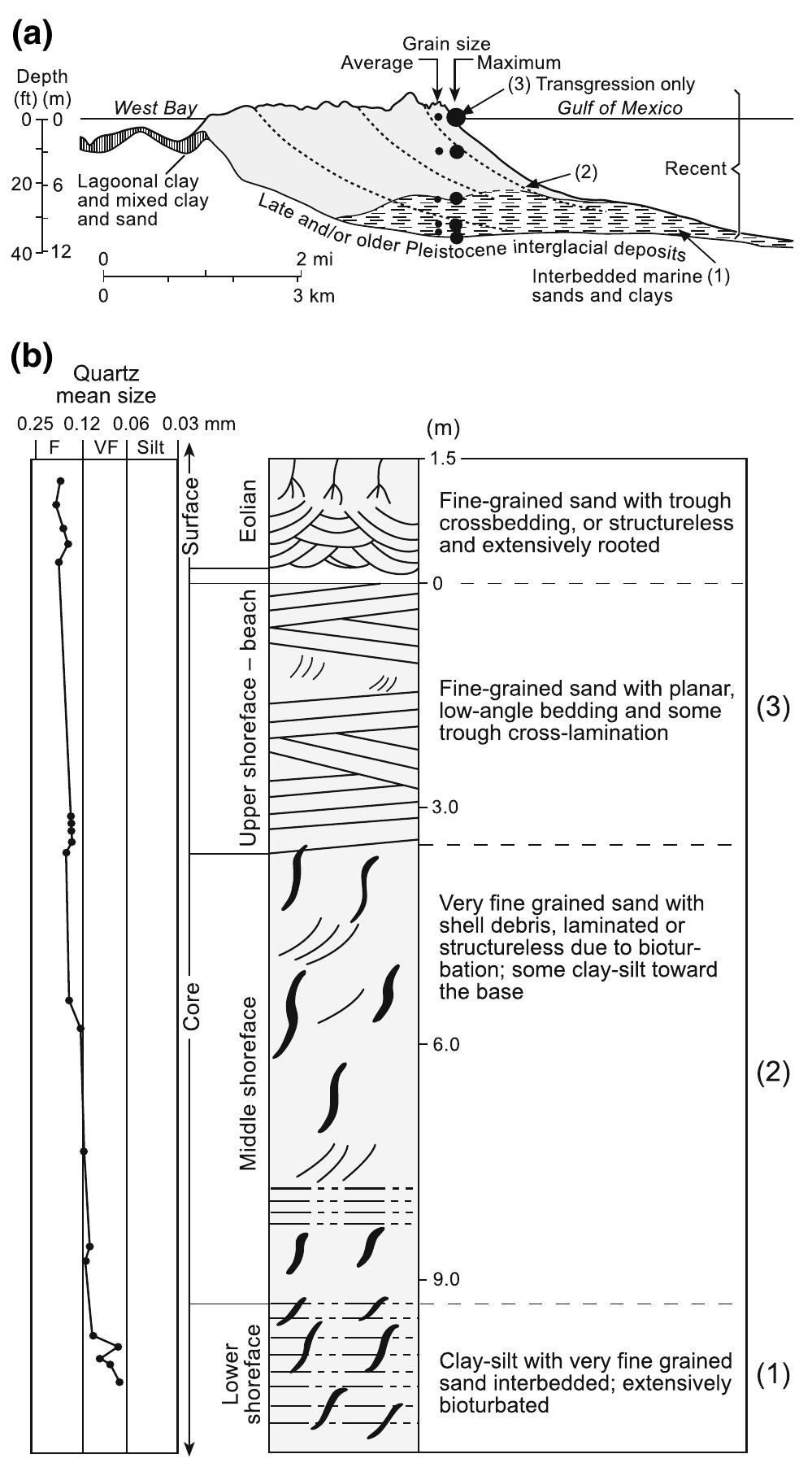 Vertical sequence and cross-sectional geometry of galveston
