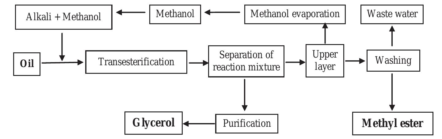 3 the flowchart of alkali catalyzed transesterification in