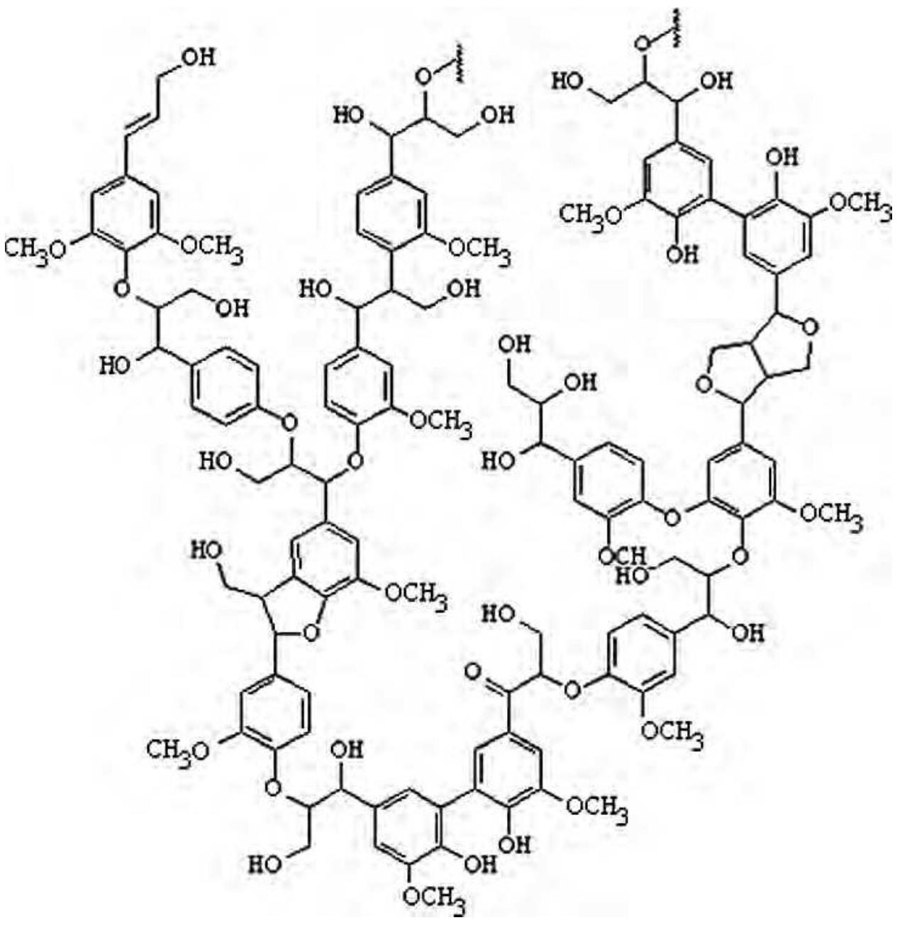 1 schematic structure of a lignin molecule source: