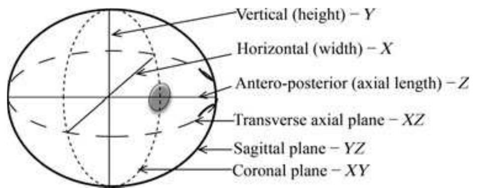 Scanning sections and axes of the eye. the sagittal section