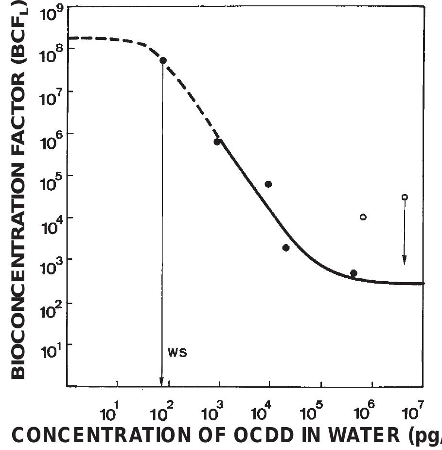 Relationship between bioconcentration factor on lipid basis