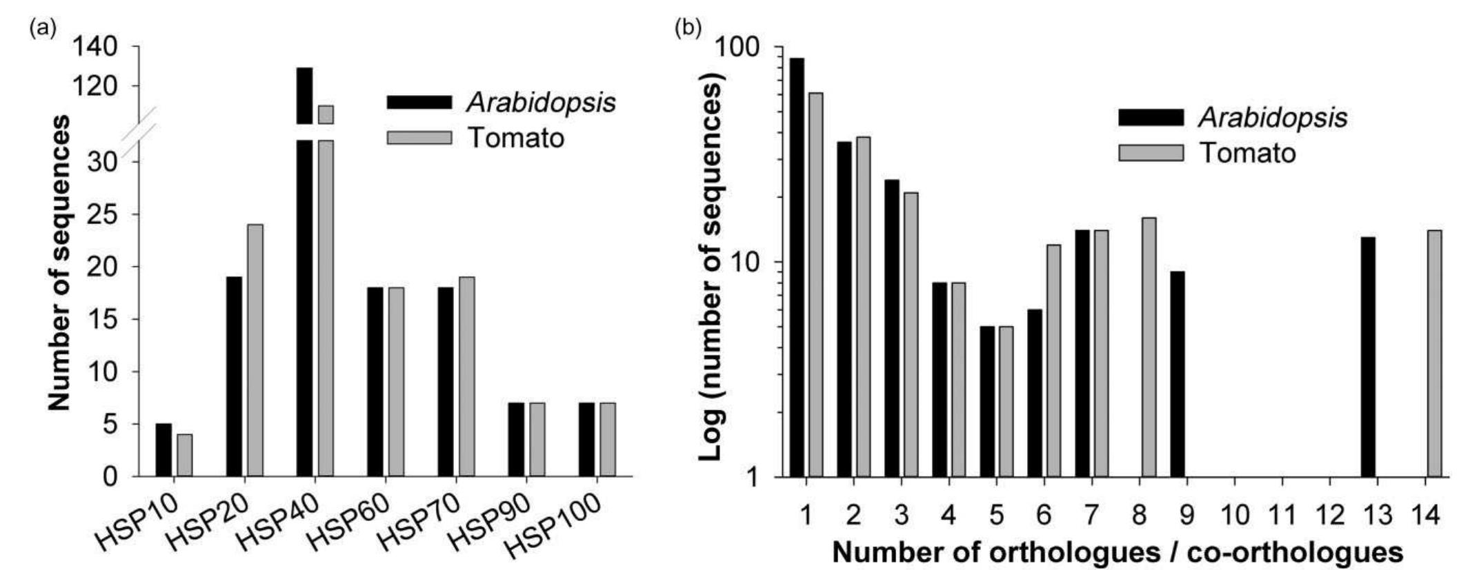Heat shock protein (hsp) orthologues and co-orthologues