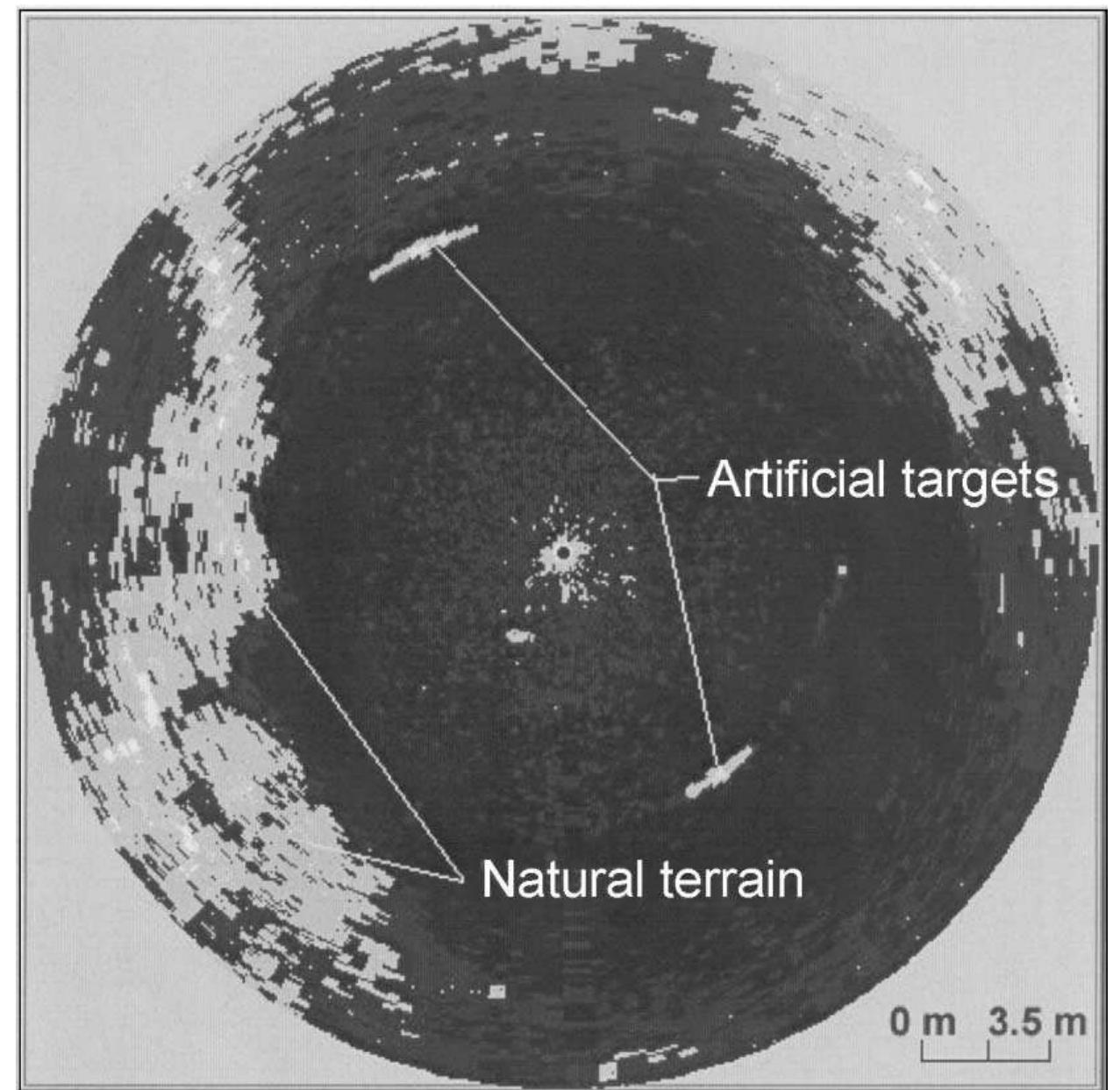 A typical sonar scan. images at rates up to 10 frames per