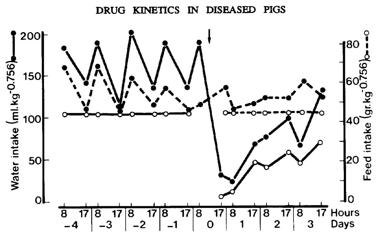 Water (@) and feed intake (©) before and after endobronchial