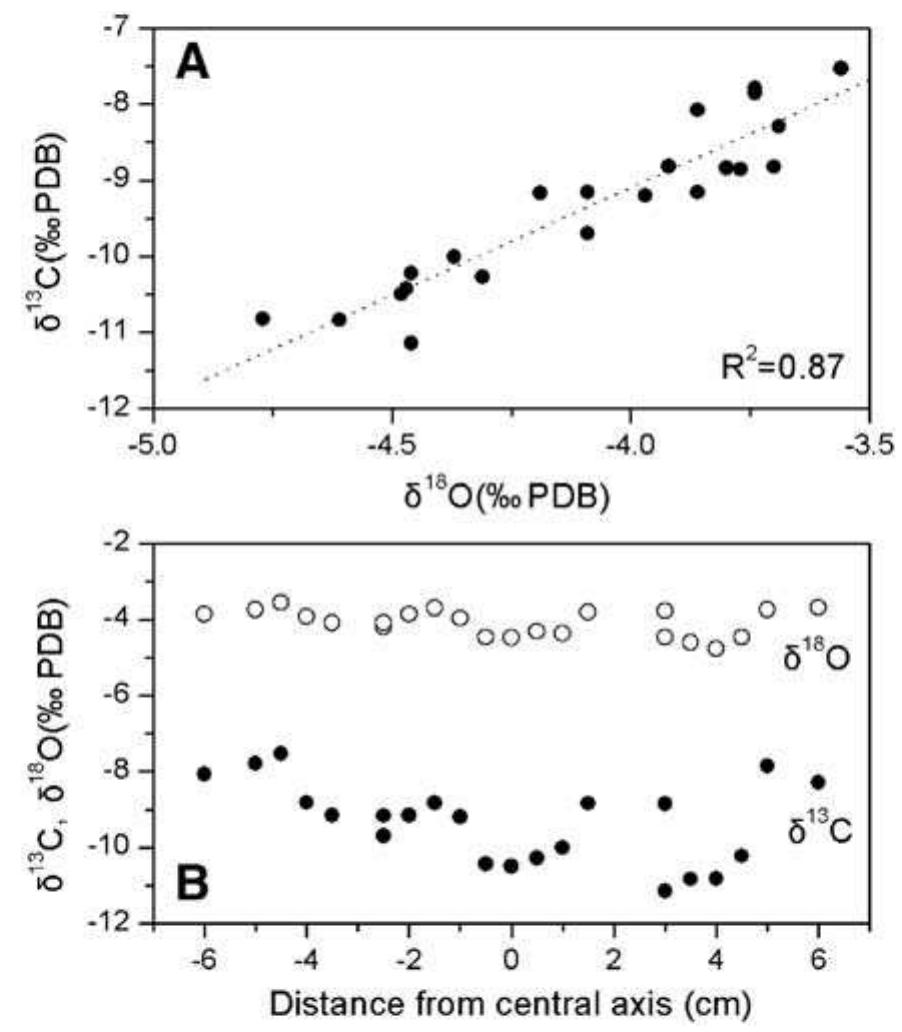 Comparison of 6'8o and 5'°c along a single growth layer of