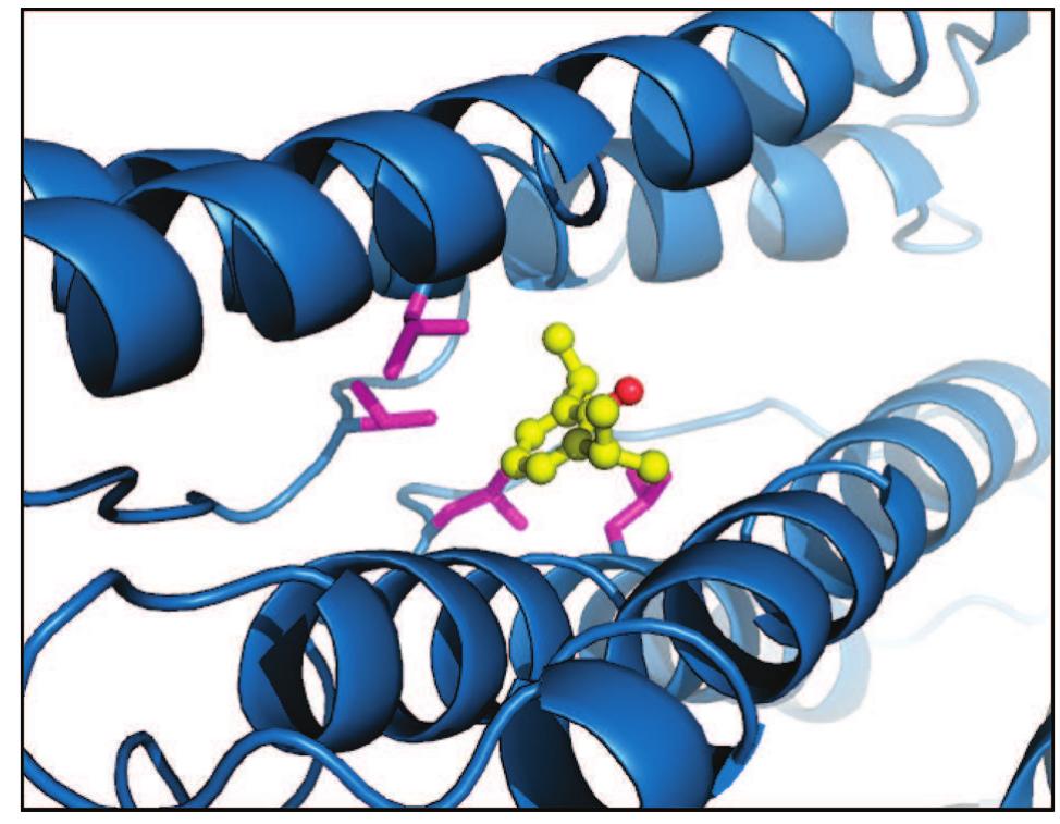 Adducted hsaf residues. shown is the hsaf anesthetic binding