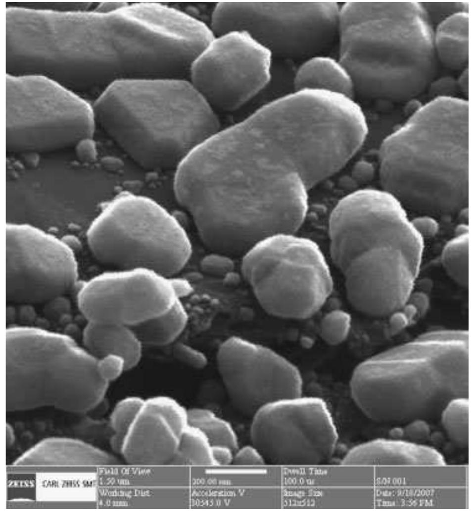 Helium ion micrograph of gold-on-carbon resolution sample