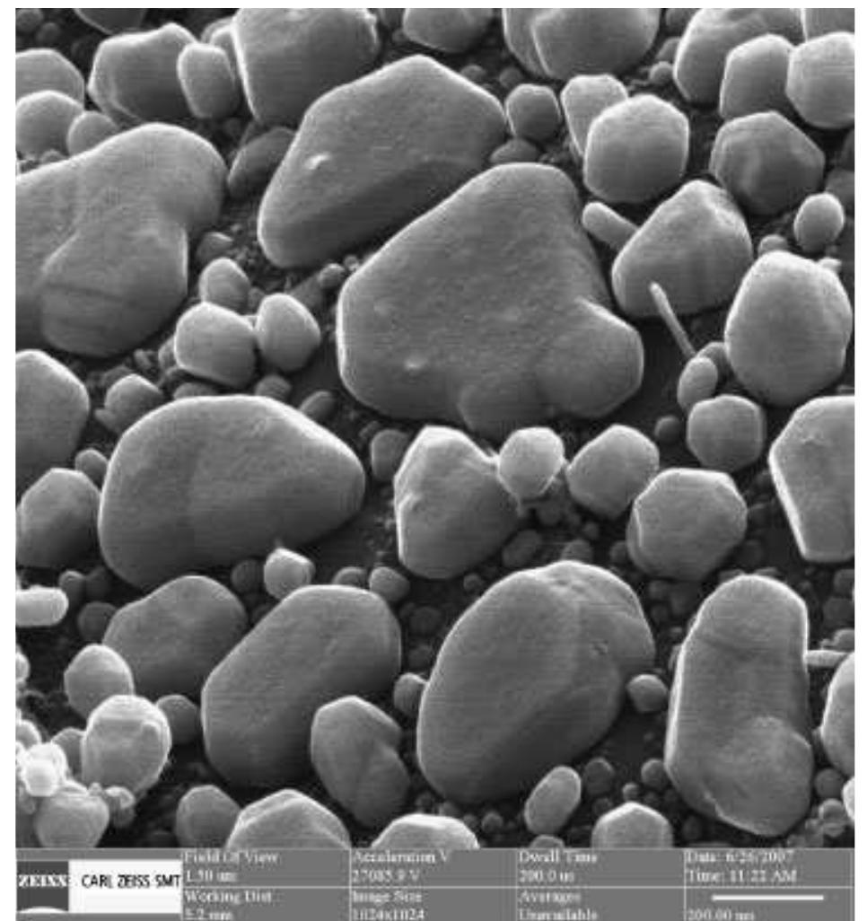 Helium ion micrograph of gold-on-carbon resolution sample.