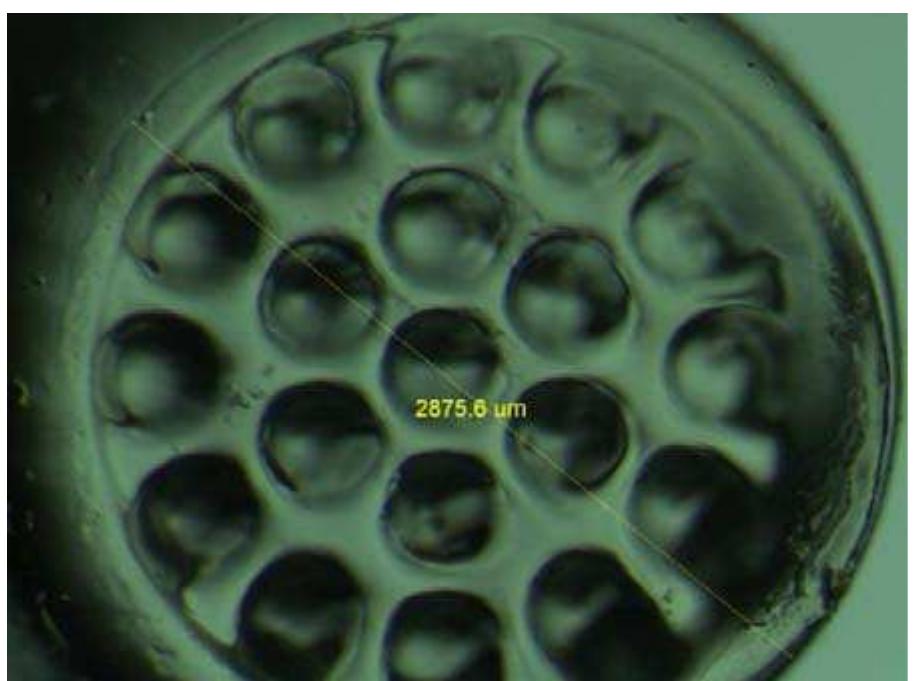 Multi-lumen nerve guidance conduit built using msl. conduits