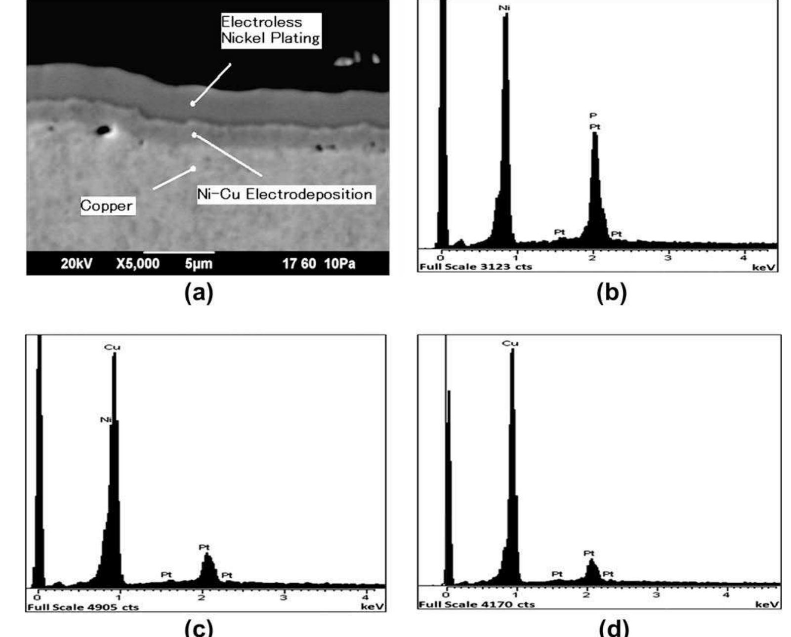 Sem image and edx spectra of heat spreader a. (a)