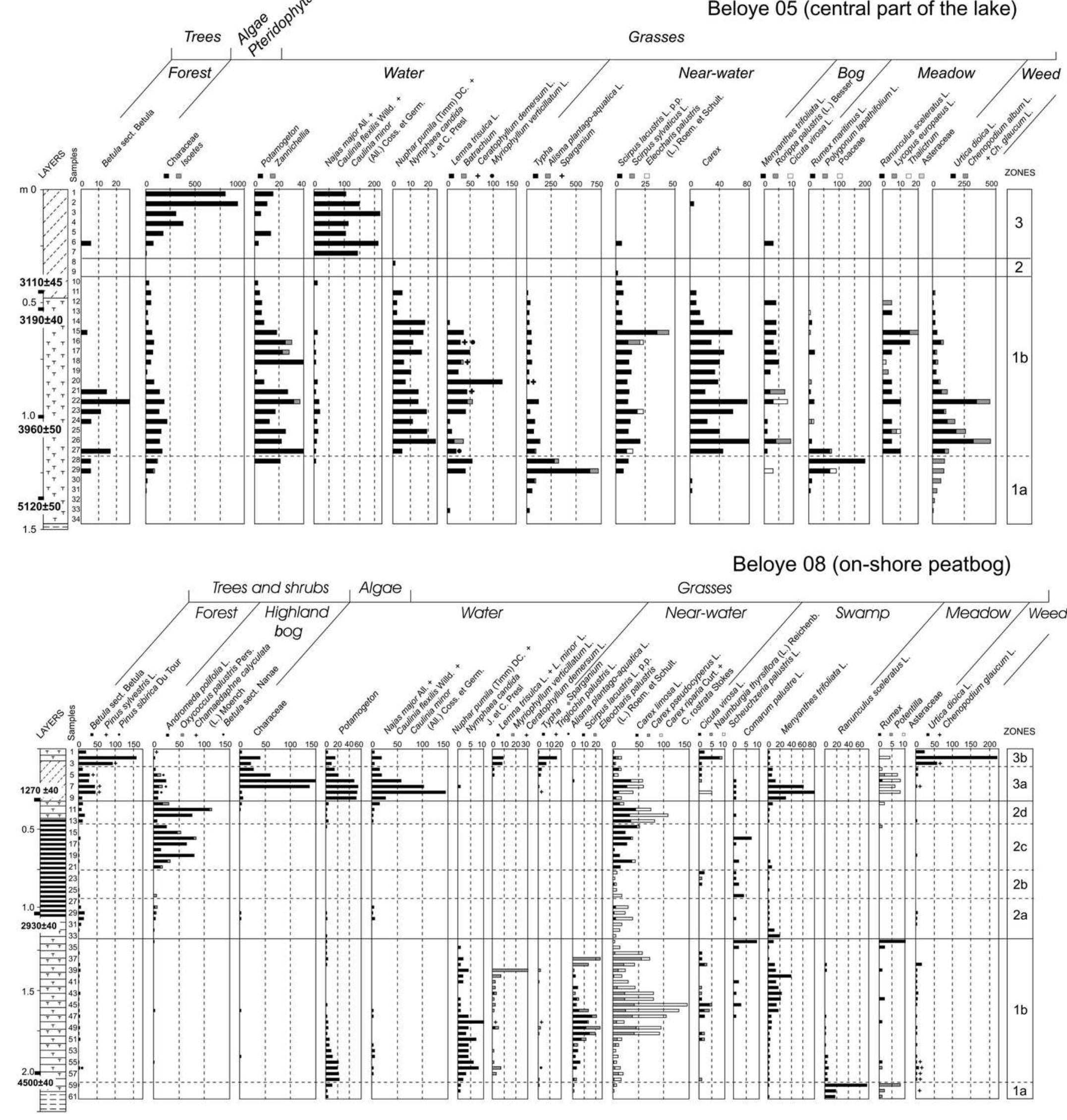 Plant macrofossil (seeds and fruits) diagrams. horizontal