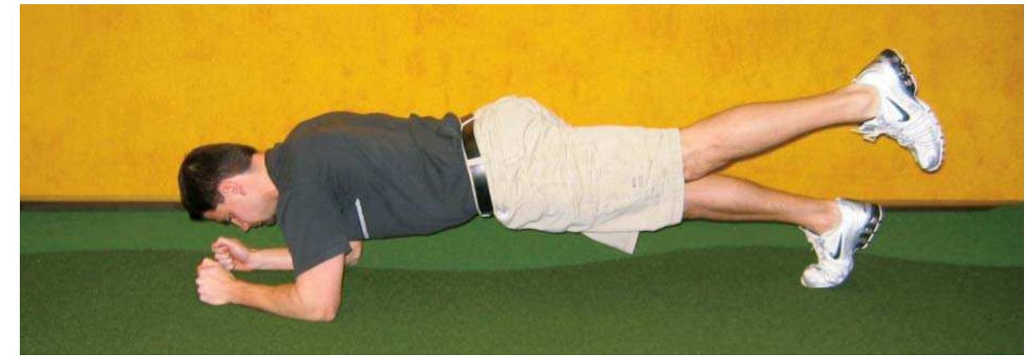 | prone bridge—hip extension.