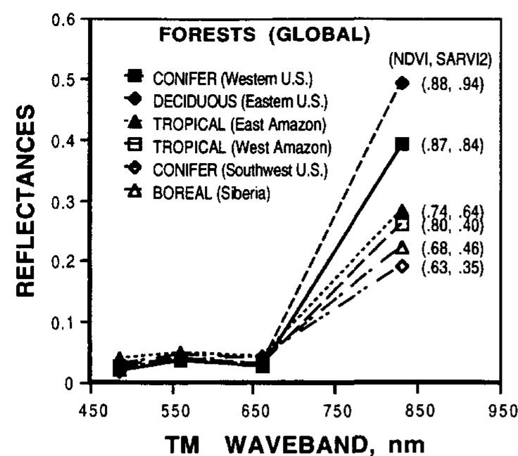 Spectral reflectance signatures for a global range of forest