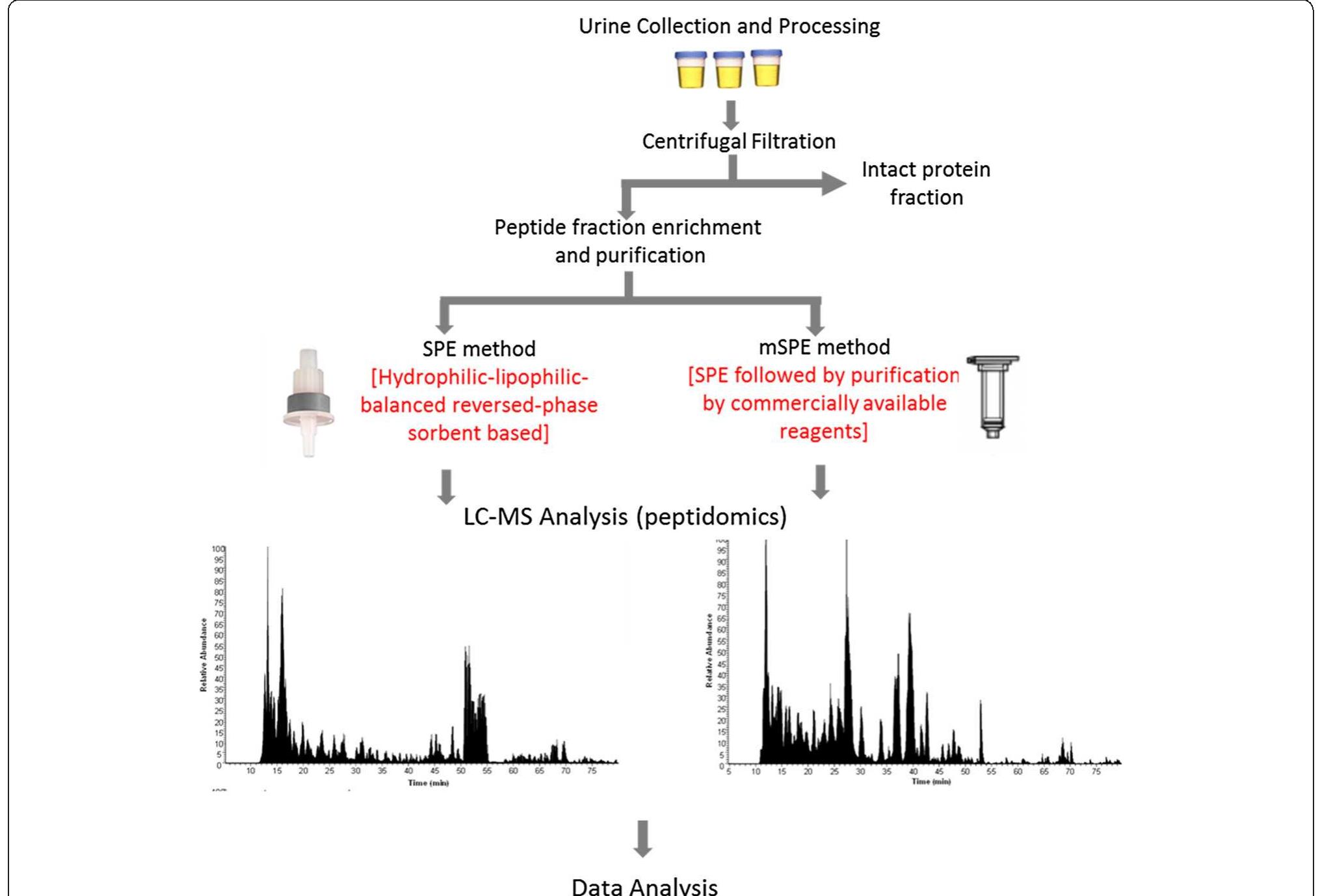 Schematics of peptide extraction and purification strategy
