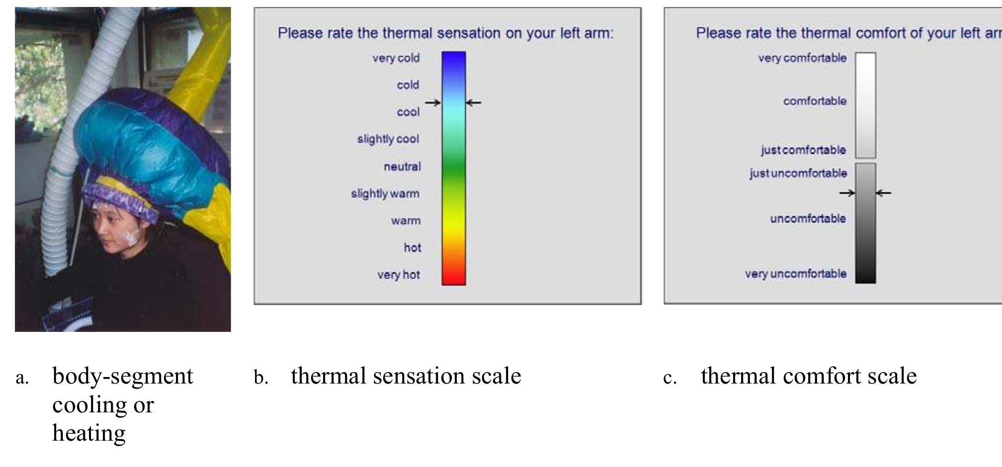 Example apparatus for conditioning segment skin