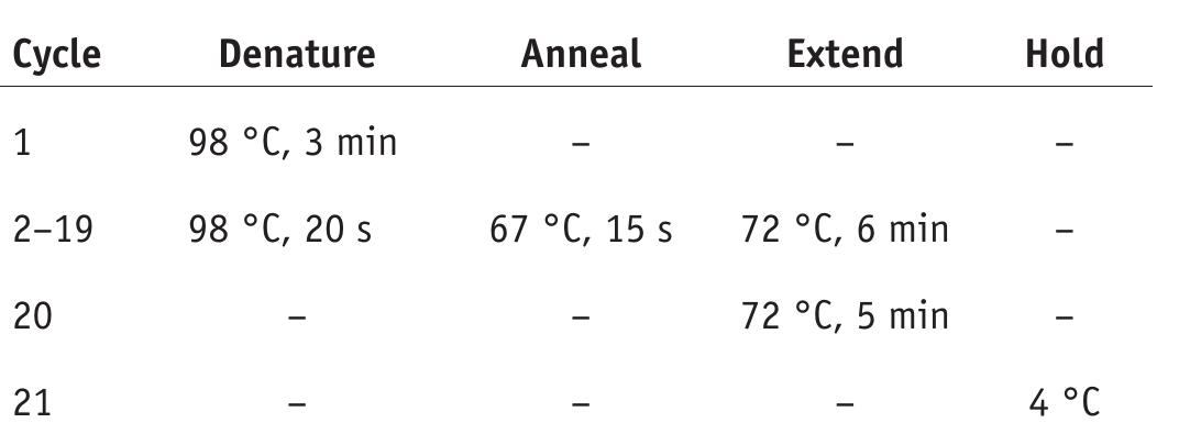 A critical step the number of pcr cycles depends on the