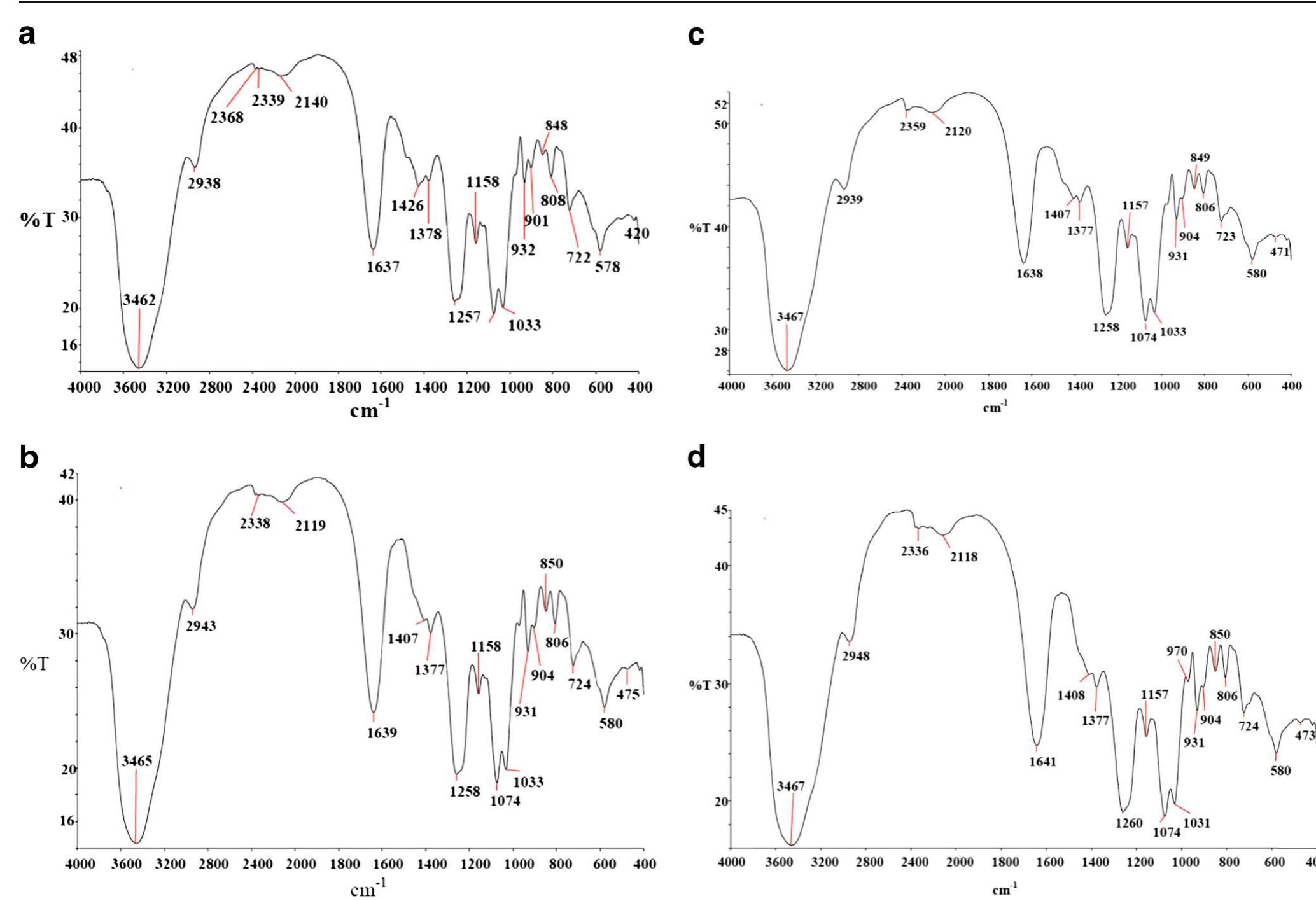A ft-ir spectra of polysaccharide obtained from sarconema
