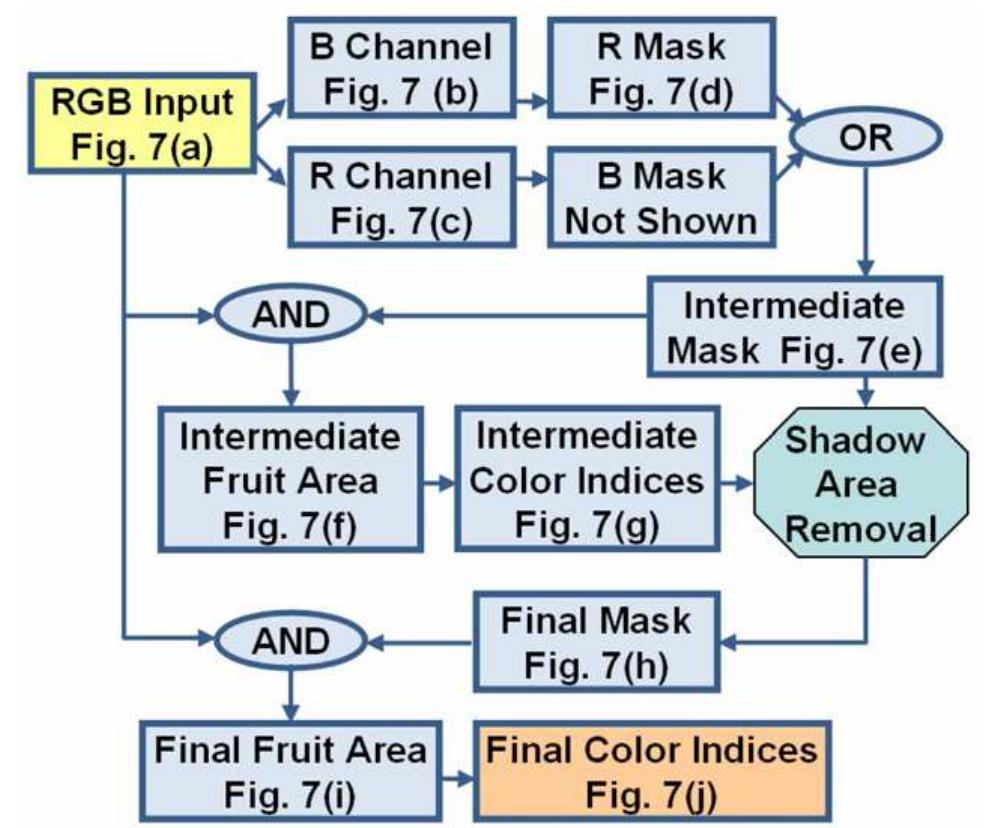 Fruit are segmentation algorithm flowchart.