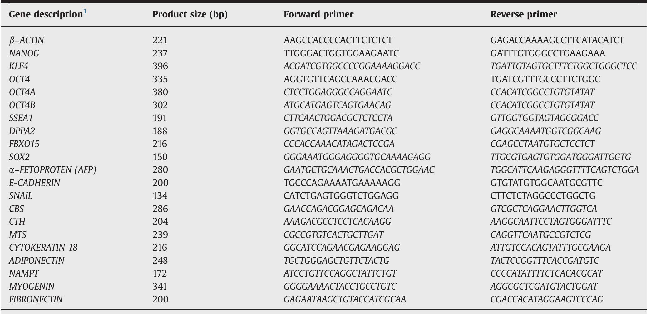 ' homo sapiens, pcr: polymerase chain reaction, bp: base