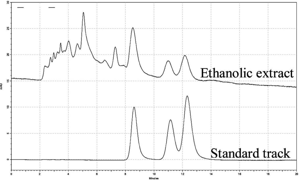 Representative chromatograms of standard markers and