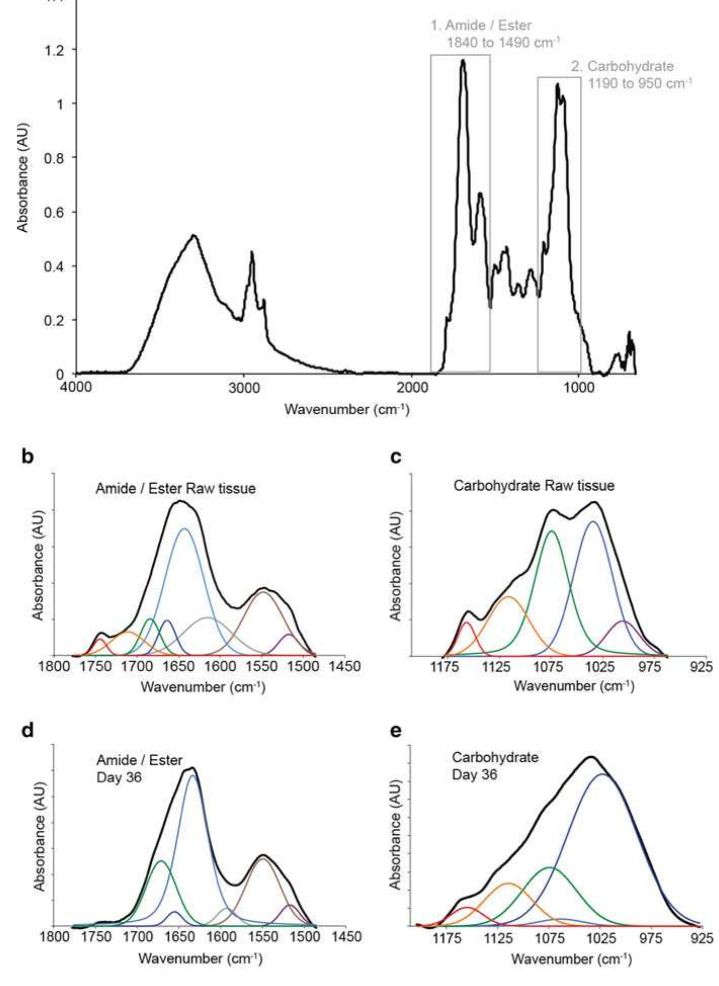 1 ftir spectra from fungal degradation experiment. complete