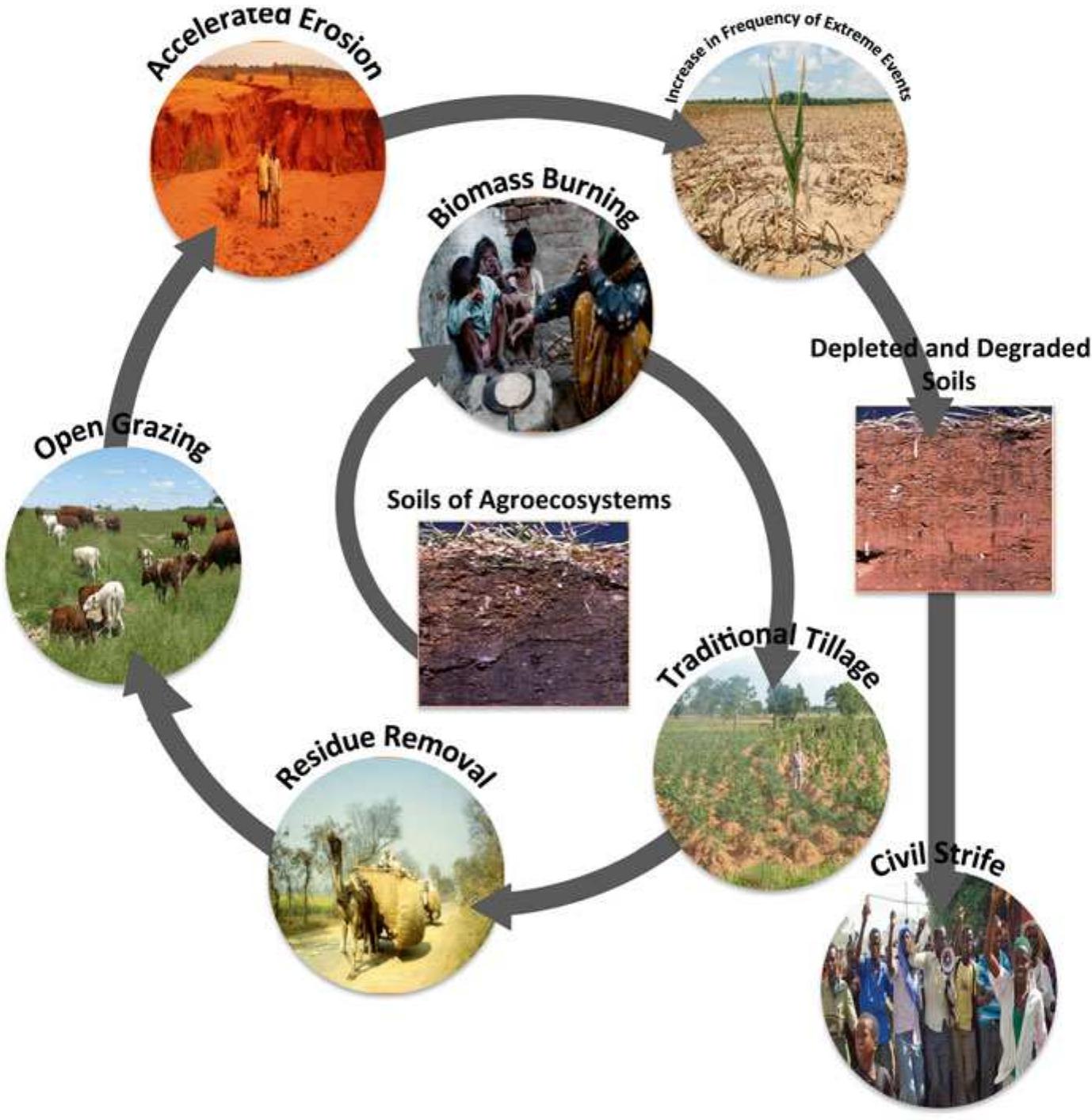 4 the depletion of soil organic carbon pool by long-term use