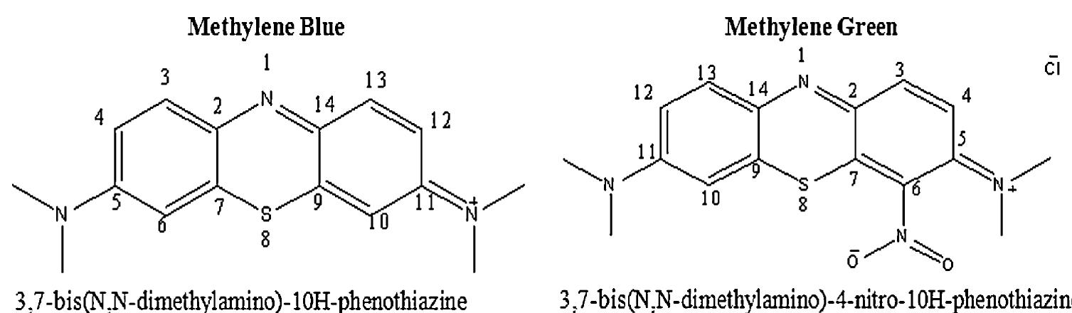 Chemical structure of the monomers, labeled carbons and